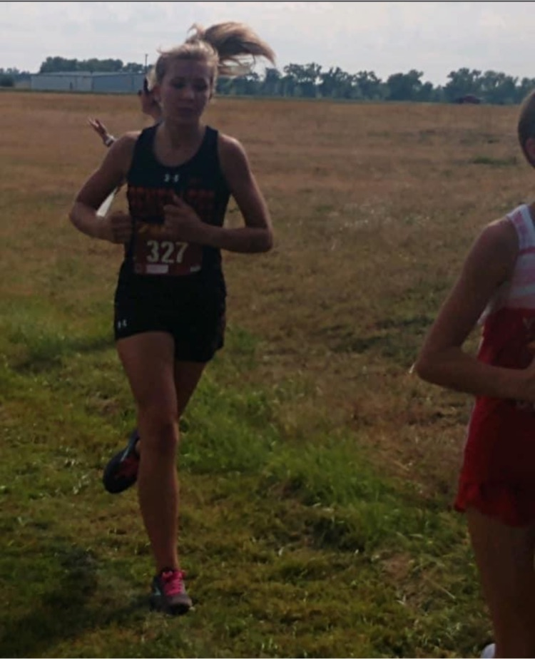 Live Feed | Chambers Public School