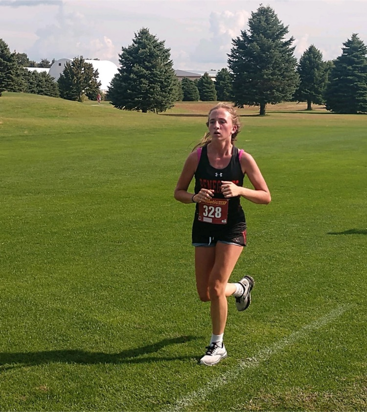 Live Feed | Chambers Public School